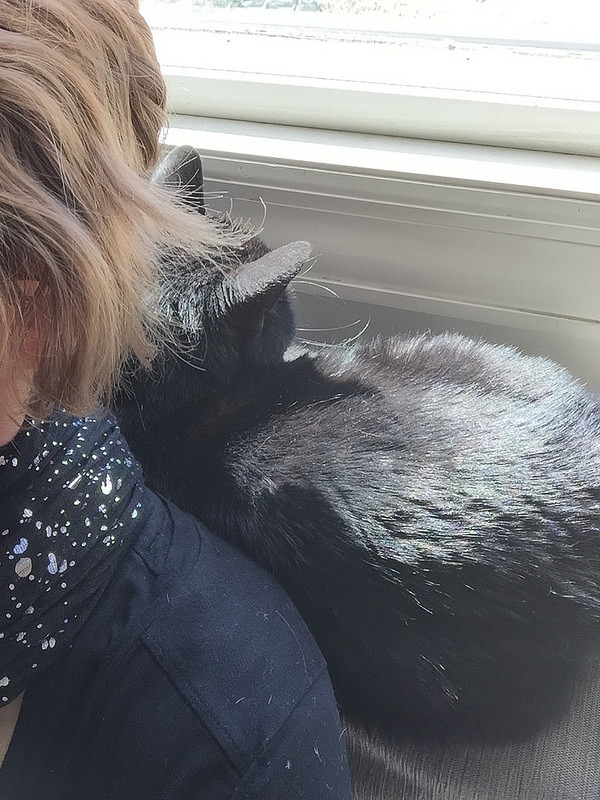 Judy’s Writing Process - Part 2 | Judy Blume Teaches Writing | MasterClass