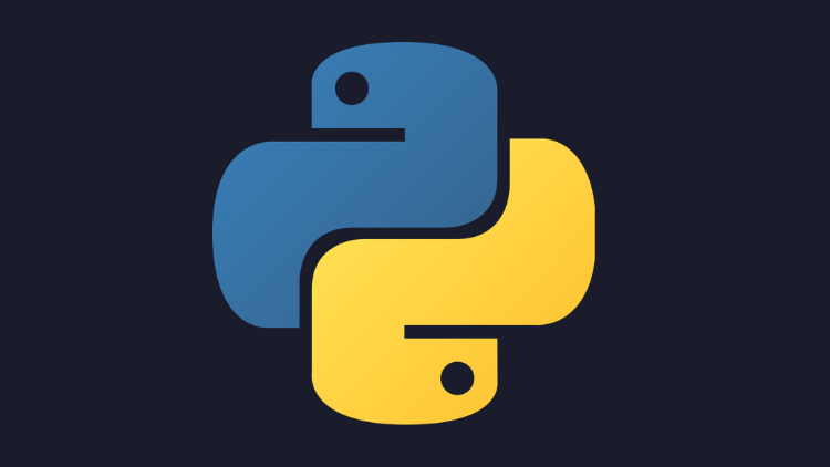 What Is Python Coding Tutorial Mammoth Interactive