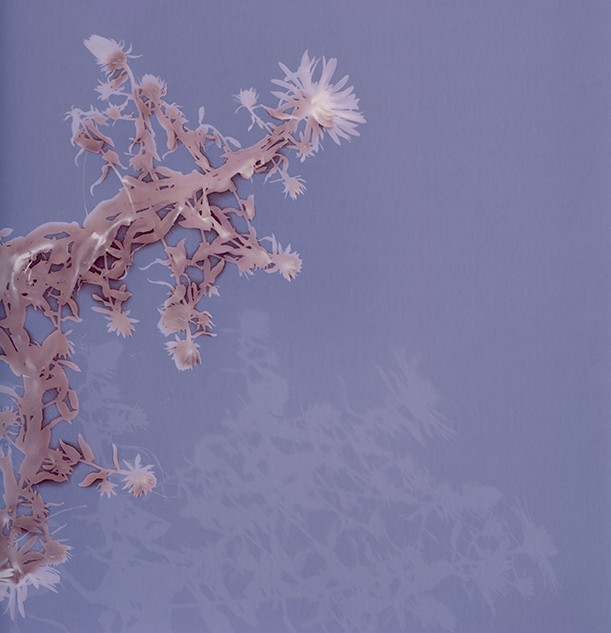 (un)fixed Positions: Margaret LeJeune - Sam Fox School of Design ...