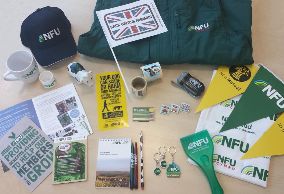 An Insight Into FT Solutions