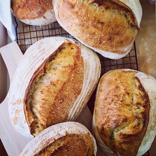 Brood at Happy Streets Pavillon - De Buik van Rotterdam