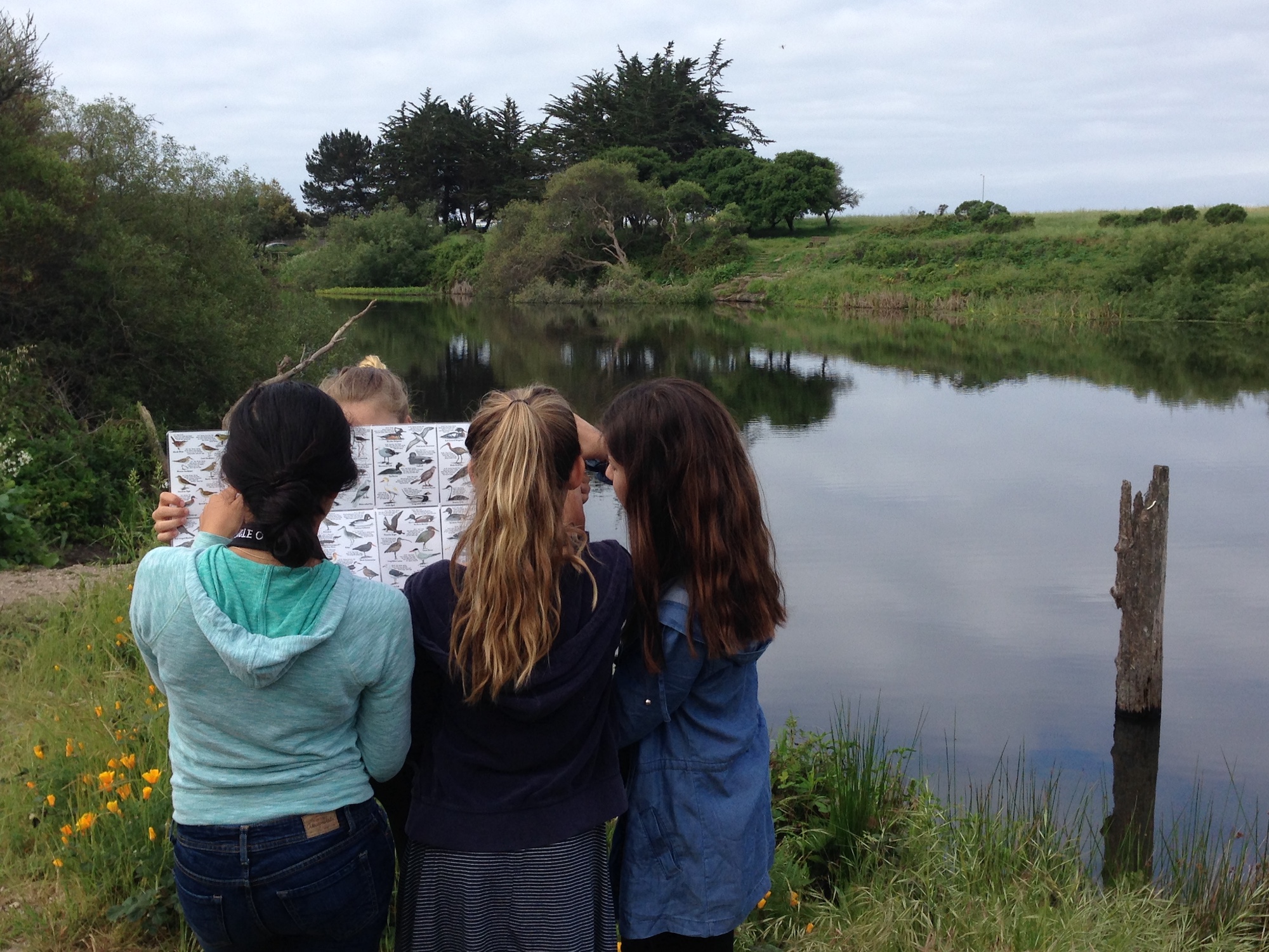 Donate to Bird School Project, Year End Giving 2021! | The Bird School ...