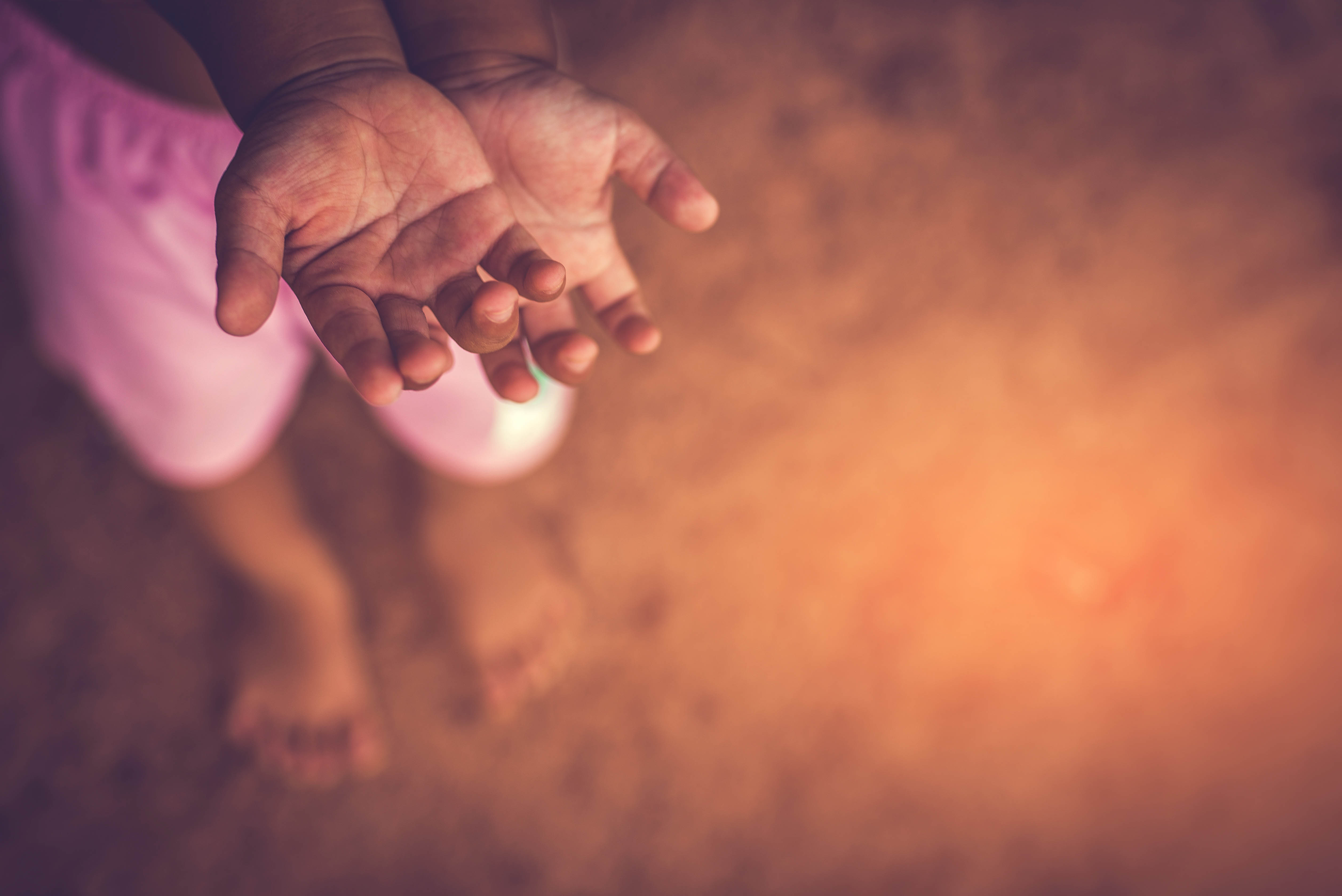 Simple Reason | Simple Reason (Powered by Donorbox)