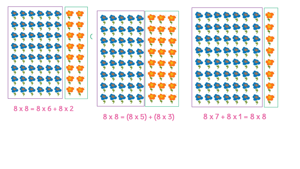 Teaching notes for Demonstrate understanding of the distributive ...
