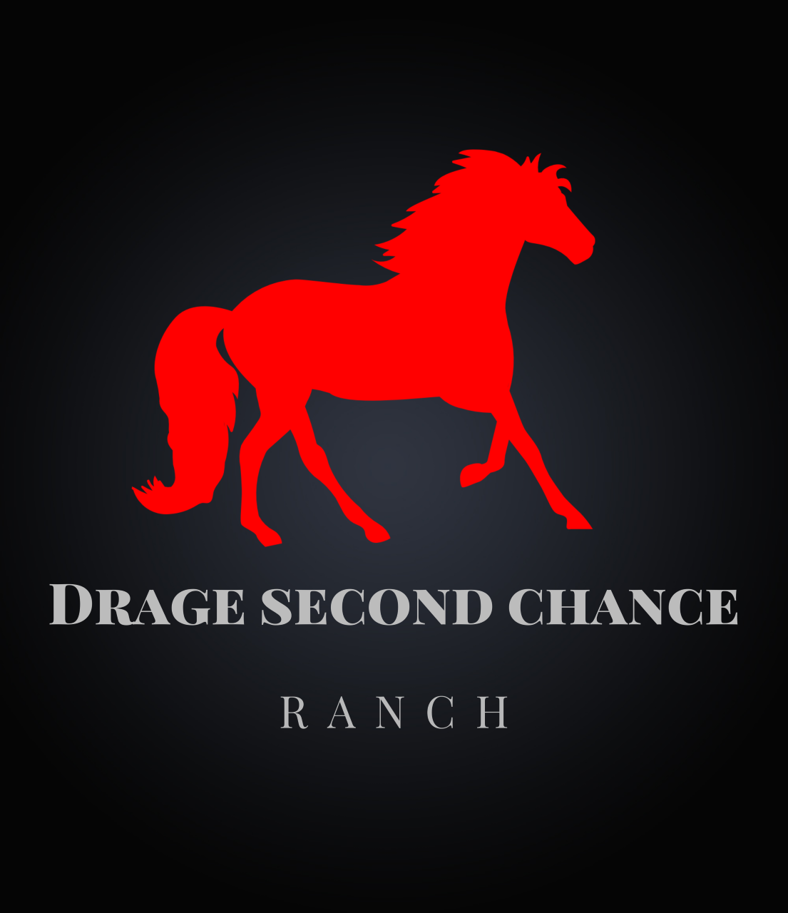 Support a Rescue Horse | Drage Second Chance Ranch (Powered by Donorbox)