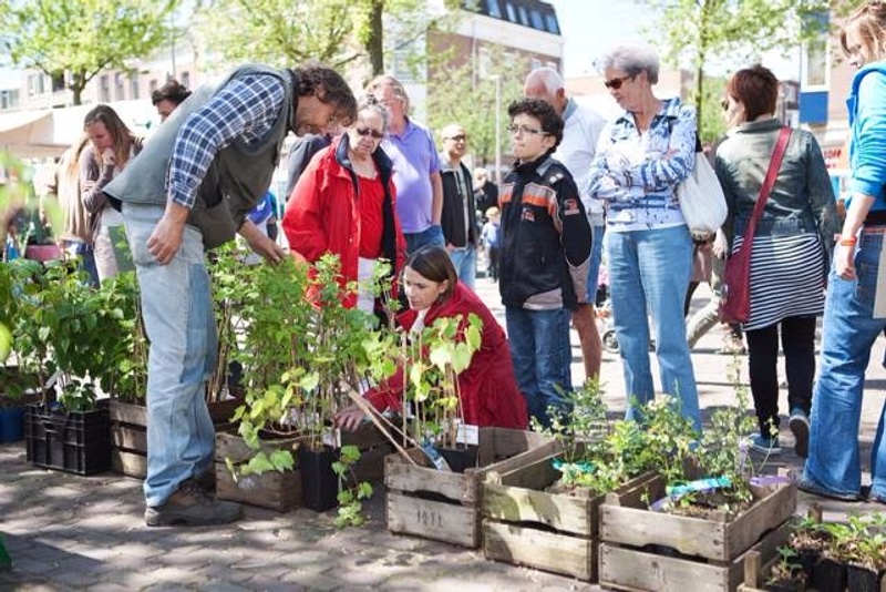 Rotterdamse Oogstmarkt. Zaait! Editie - De Buik van Rotterdam