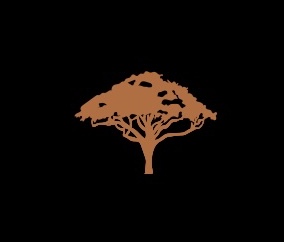 Public Square Amplified | Public Square Amplified (Powered by Donorbox)