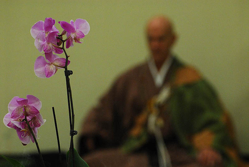 Dokusan | Hollow Bones Zen (Powered by Donorbox)