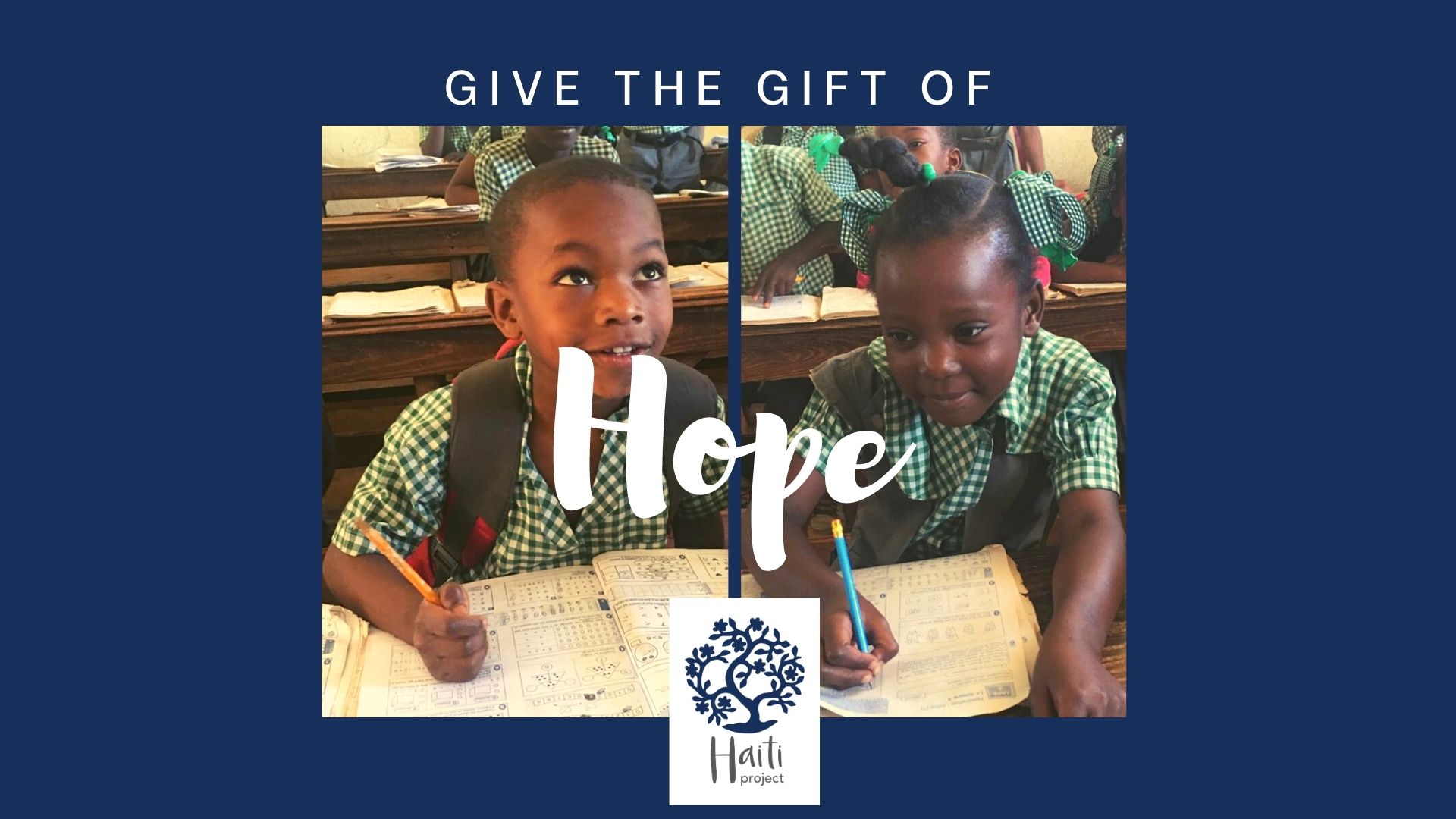 2020 Renewal | The Haiti Project (Powered by Donorbox)