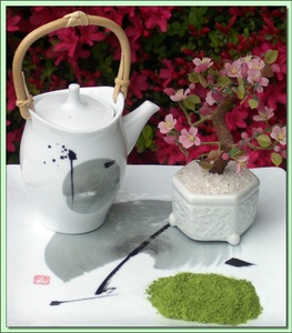 Kenya Rhino Matcha White Tea Tea by Green Tea Lovers — Steepster