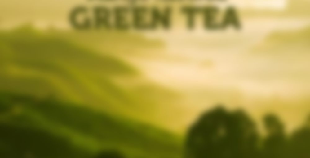 Sundew Tea by Strand Tea Company — Steepster