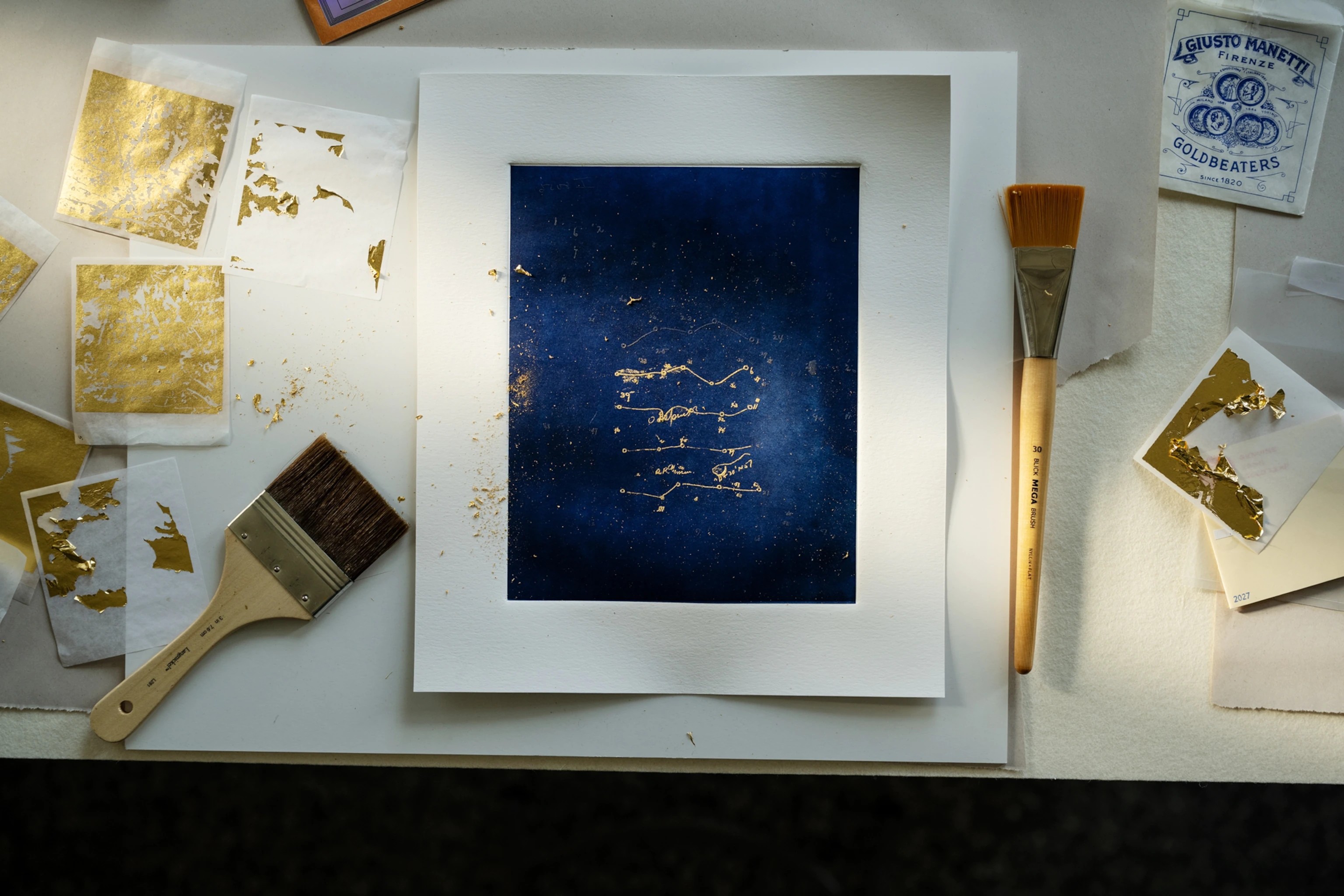 National Geographic interviews Island Press artist Erika Blumenfeld ...