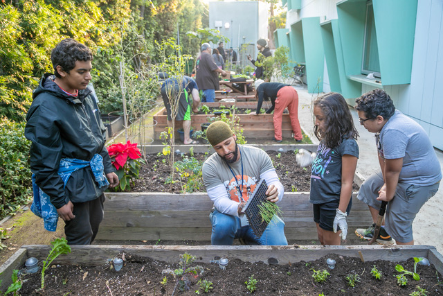 Help us grow more food gardens with underserved communities | Growing ...