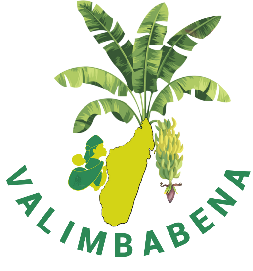 Antso valimbabena | Valimbabena (Powered by Donorbox)