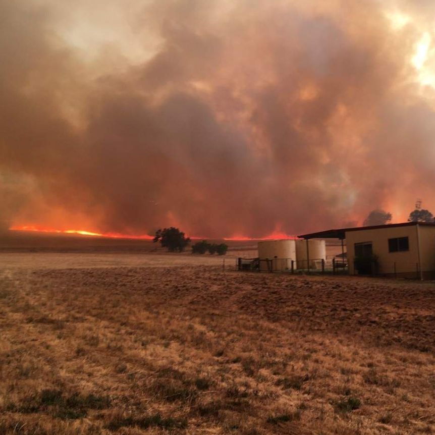 Bushfire Support, Relief and Recovery Appeal- North East Victoria ...
