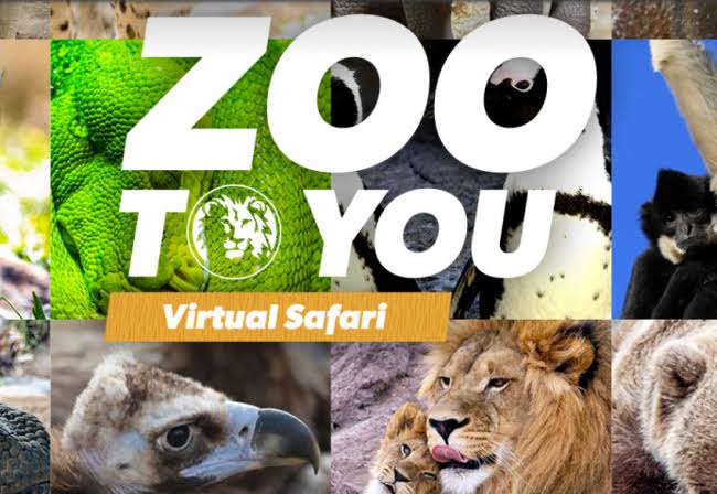 Denver zoo emergency covid-19 relief fundraiser by management 2 ...