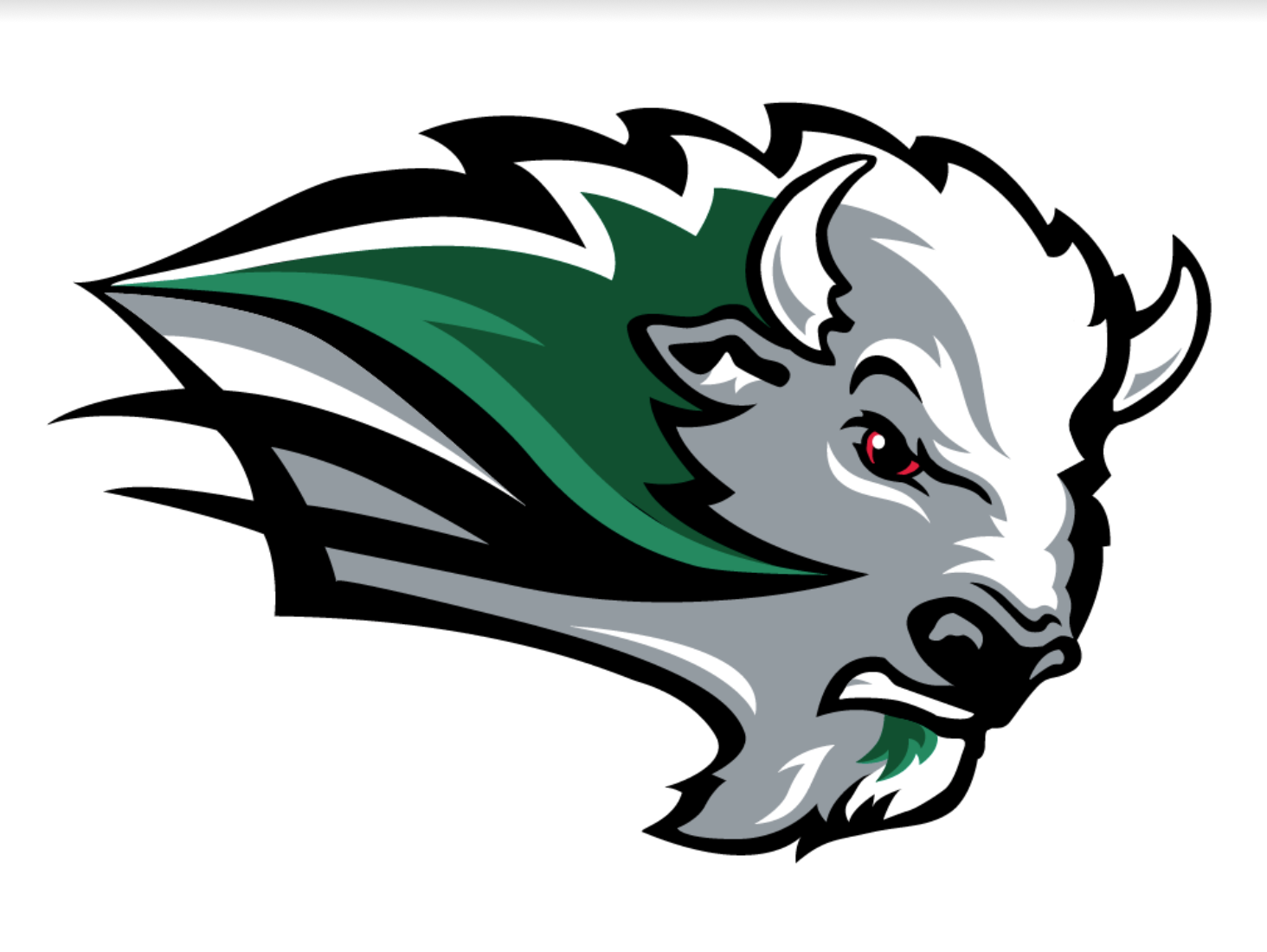 BHC December 2019 Fundraiser! | Boulder Hockey Club (Powered by Donorbox)