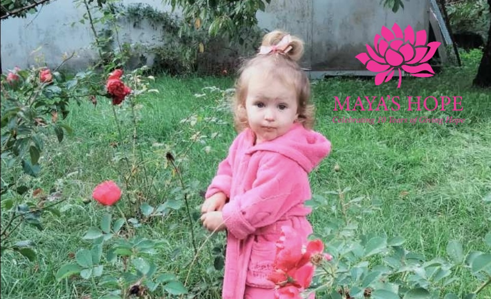 Maya's Hope: Diapers, Baby Food and Formula for a Toddler | Maya's Hope ...