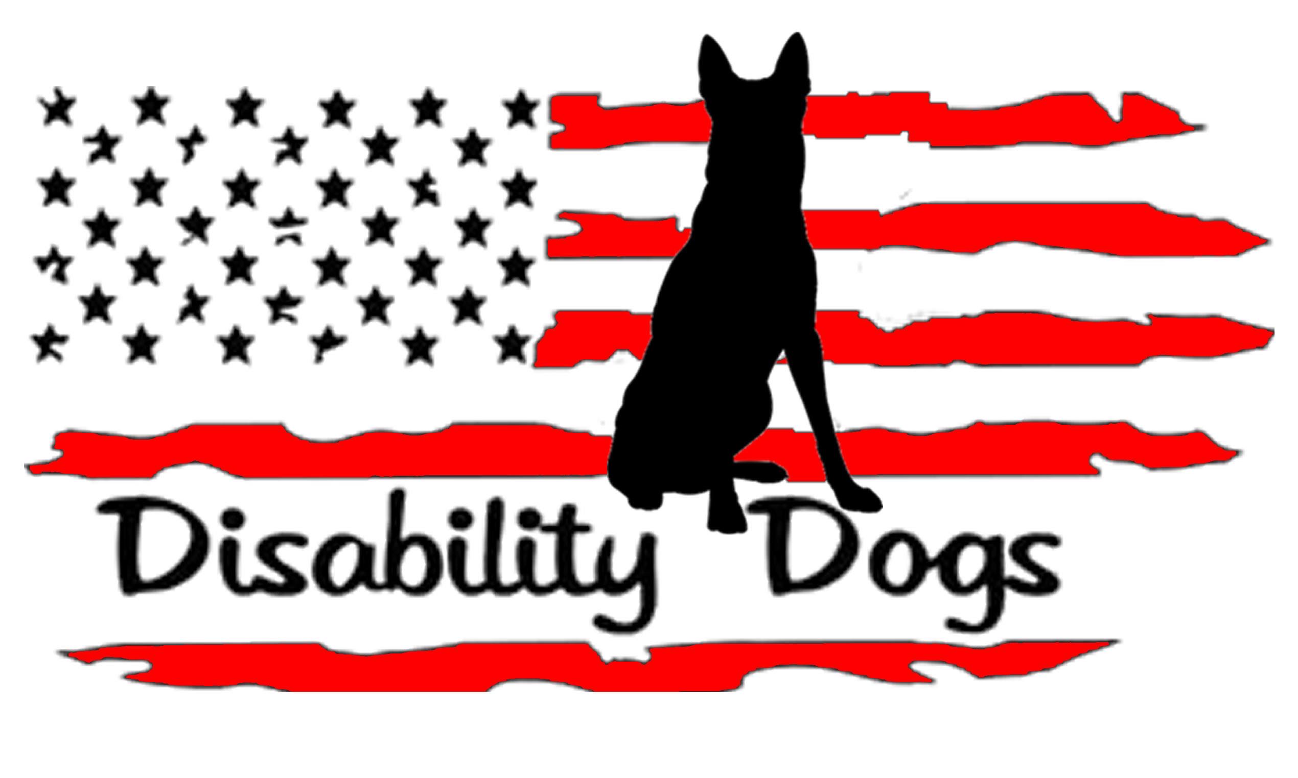 Sponsor a Dog | Disability Dogs (Powered by Donorbox)