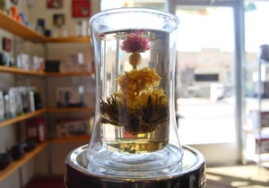 Blooming Christmas Tree Tea by New Mexico Tea Company — Steepster