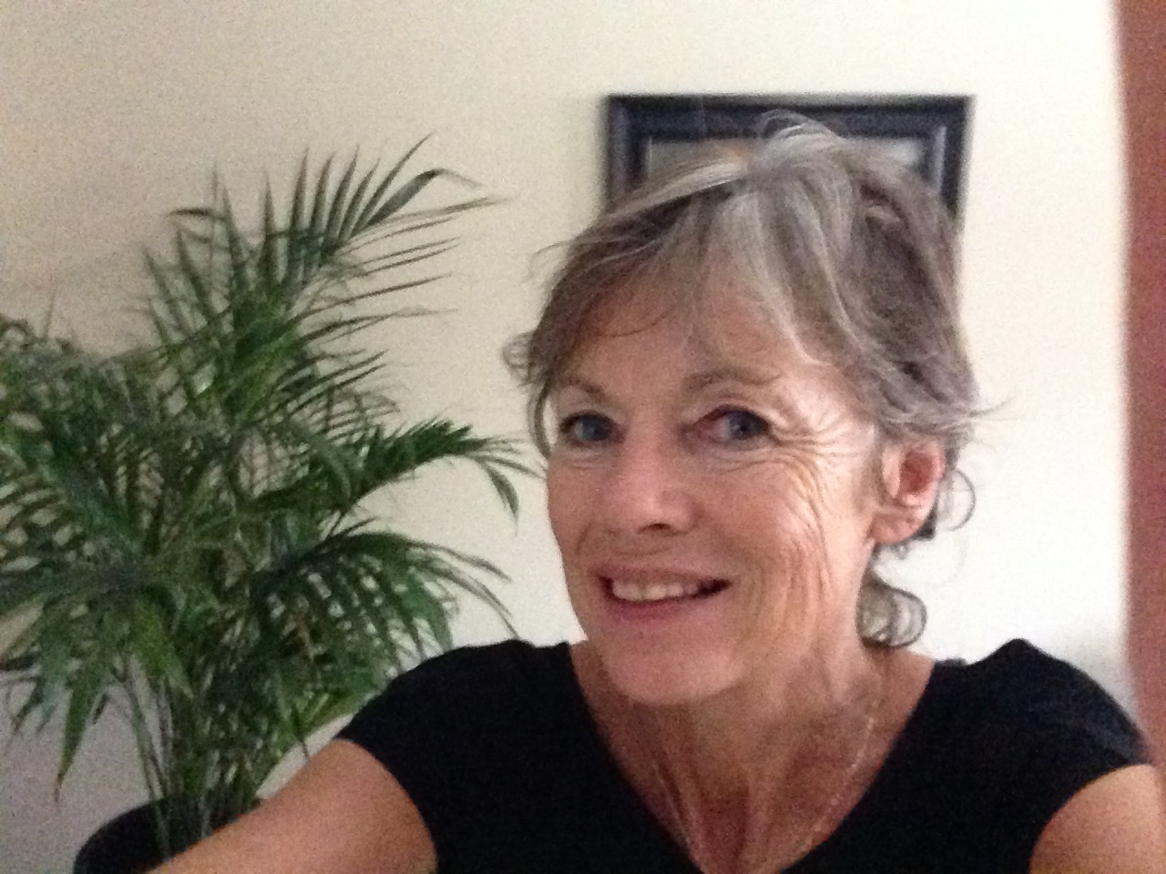 Story Study: “Where Are You Going, Where Have You Been?” | Joyce Carol ...