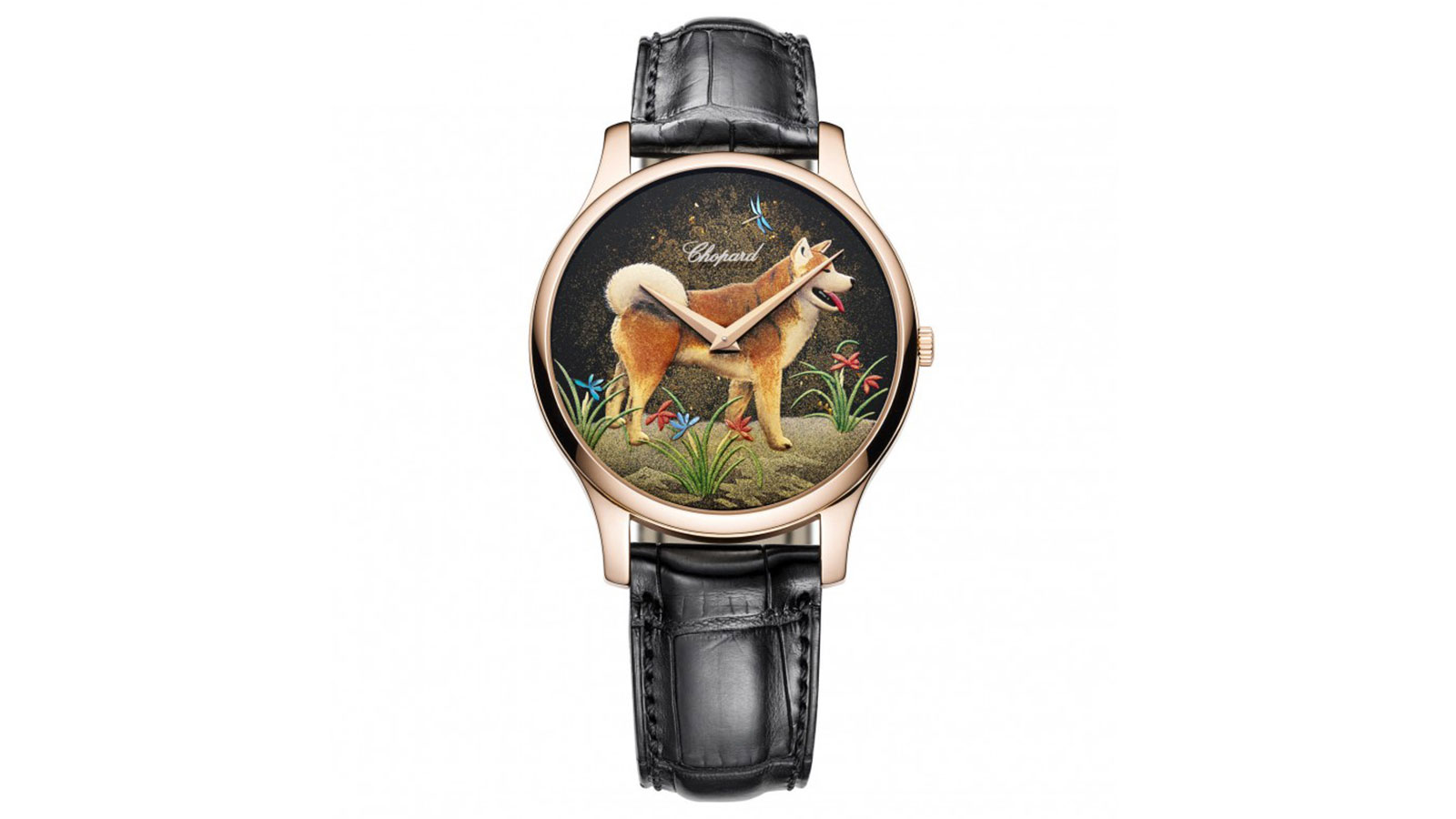 Why Is It Called The Dog Watch