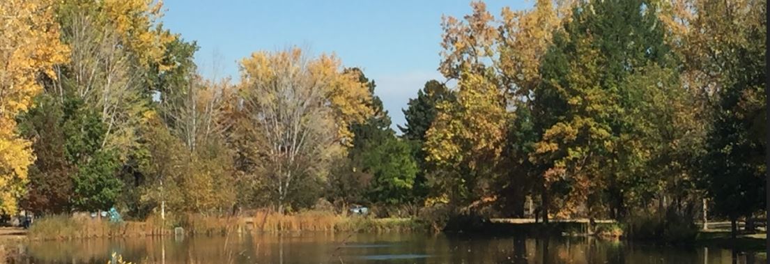 Wendi Strom for Lakewood City Council | Wendi For Lakewood (Powered by ...