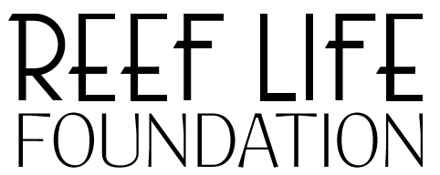 Together We Can Rebuild Ocean Habitat | Reef Life Foundation (Powered by Donorbox)
