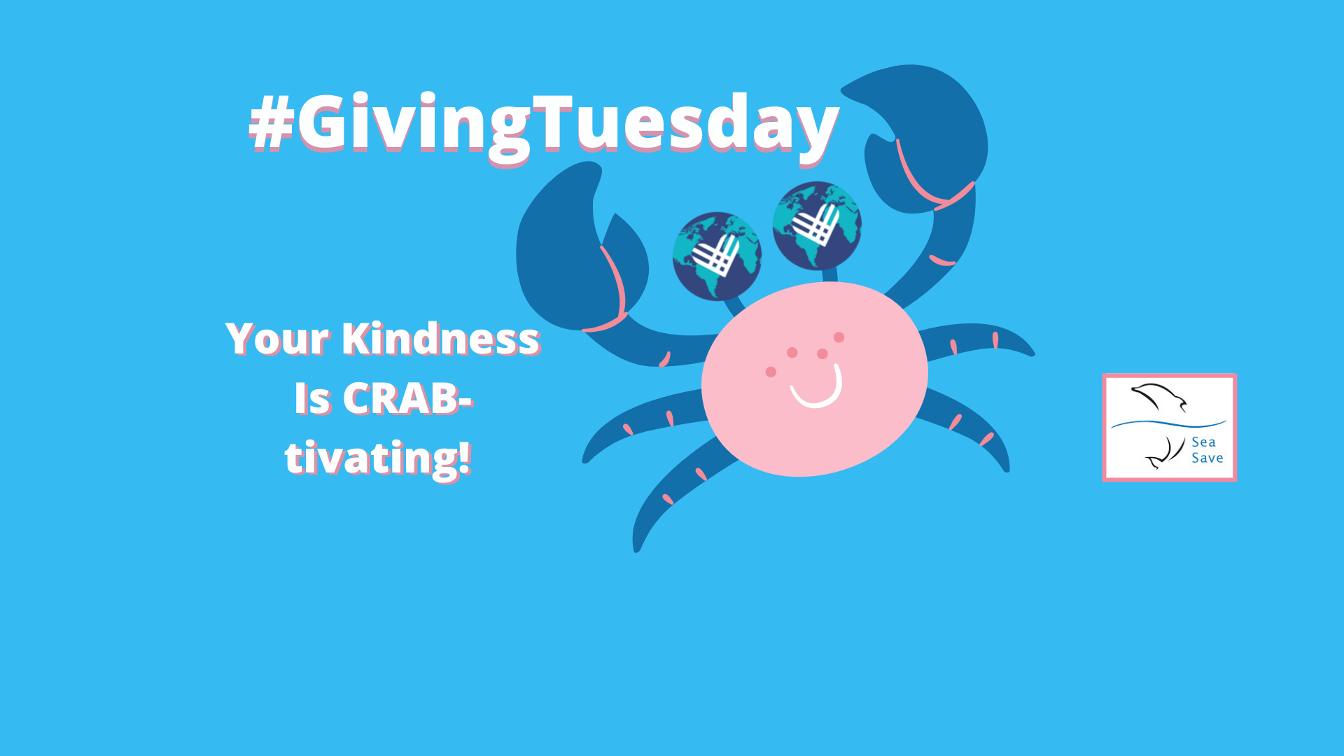 Giving Tuesday 2021 | Sea Save Foundation (Powered by Donorbox)
