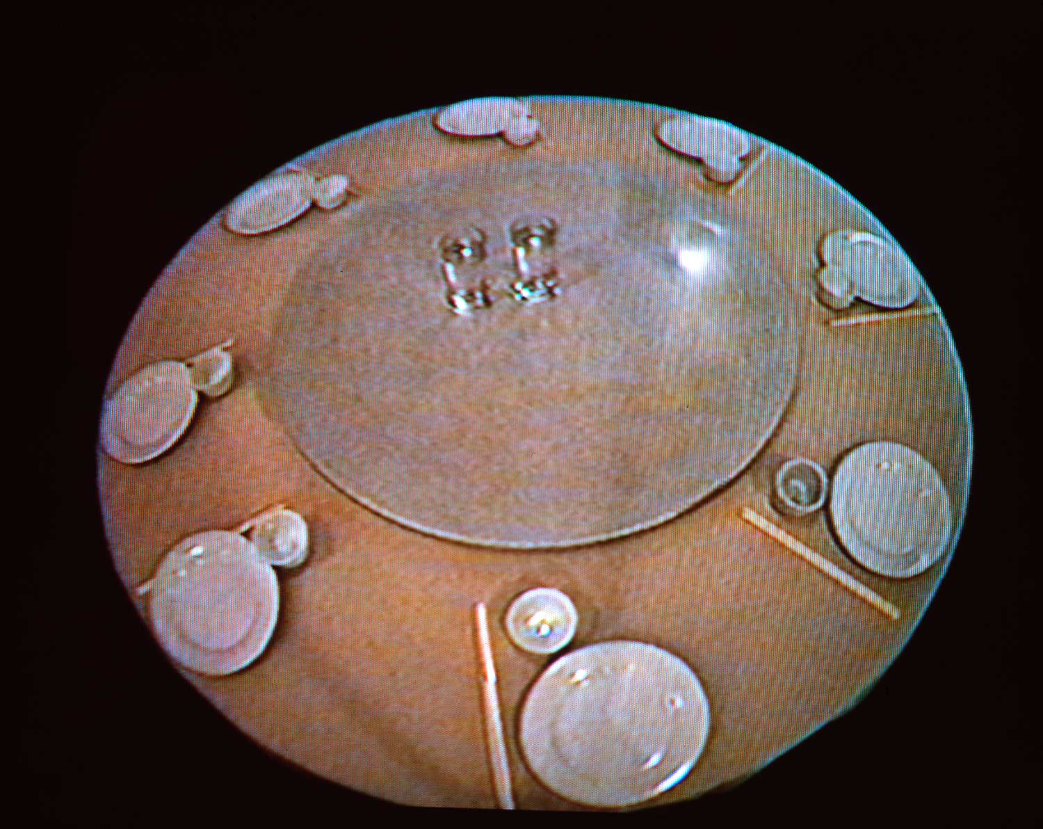 Lazy Susan - Museo Jumex