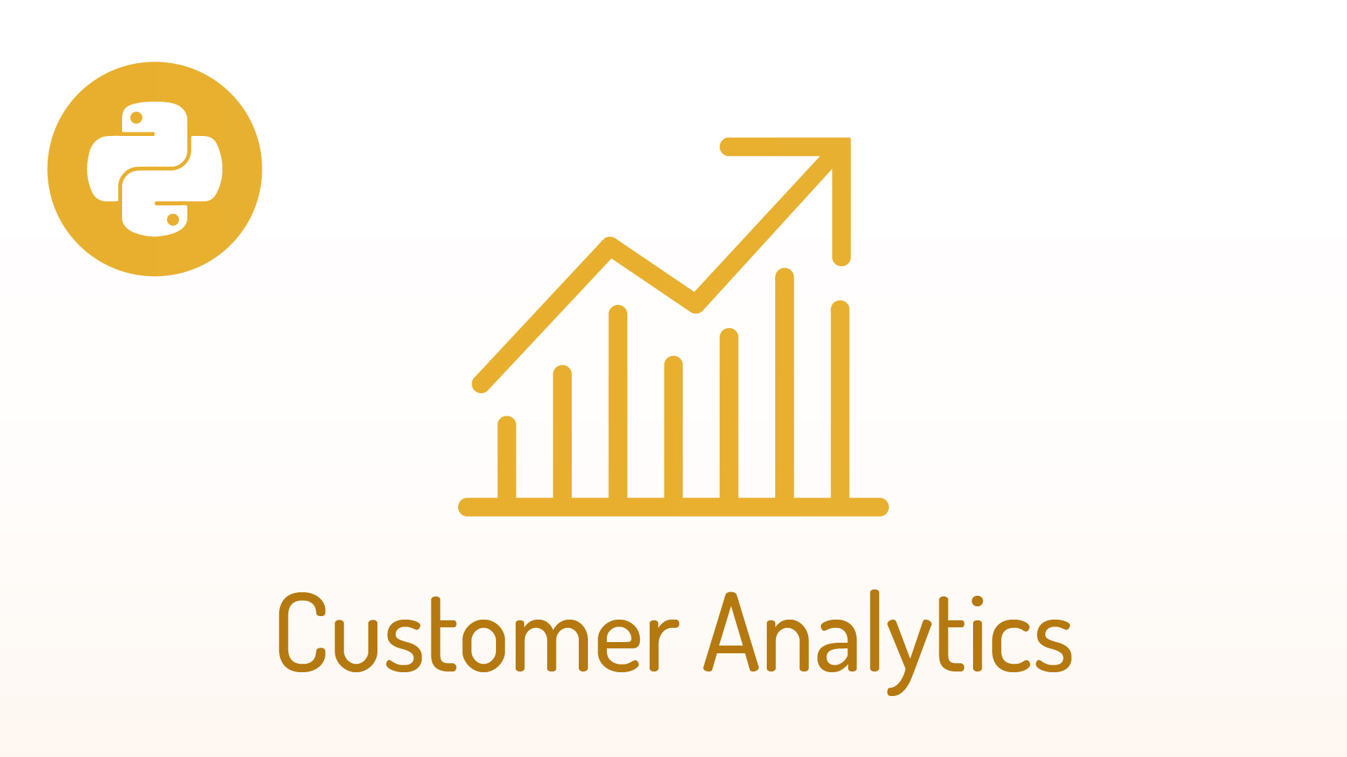 Customer Analytics In Python 365 Data Science