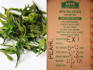 Arya Pearl First Flush 2013 Tea by Thunderbolt Tea — Steepster