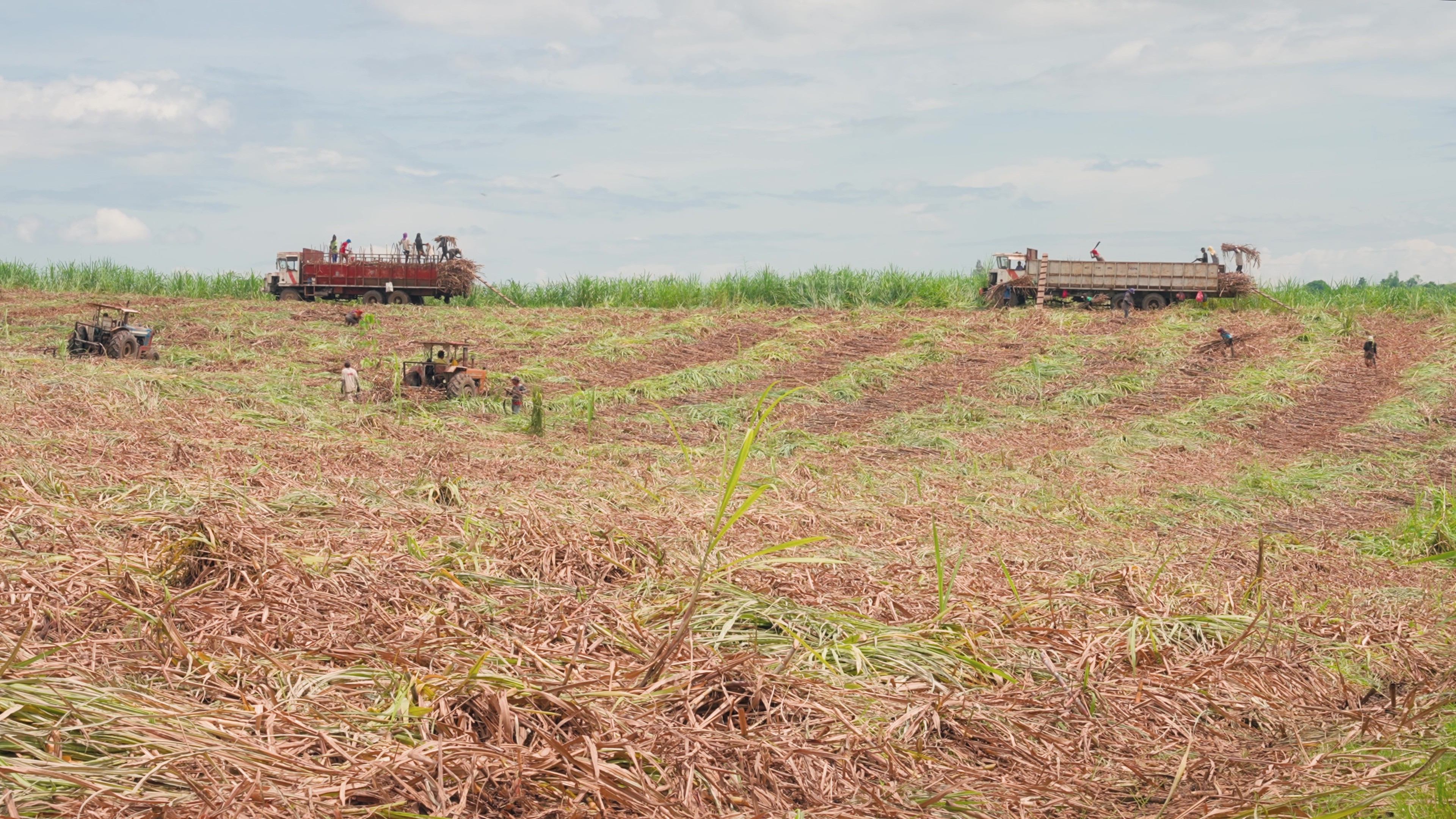 Report Back: Building Movement from the Philippines and Beyond Panel ...