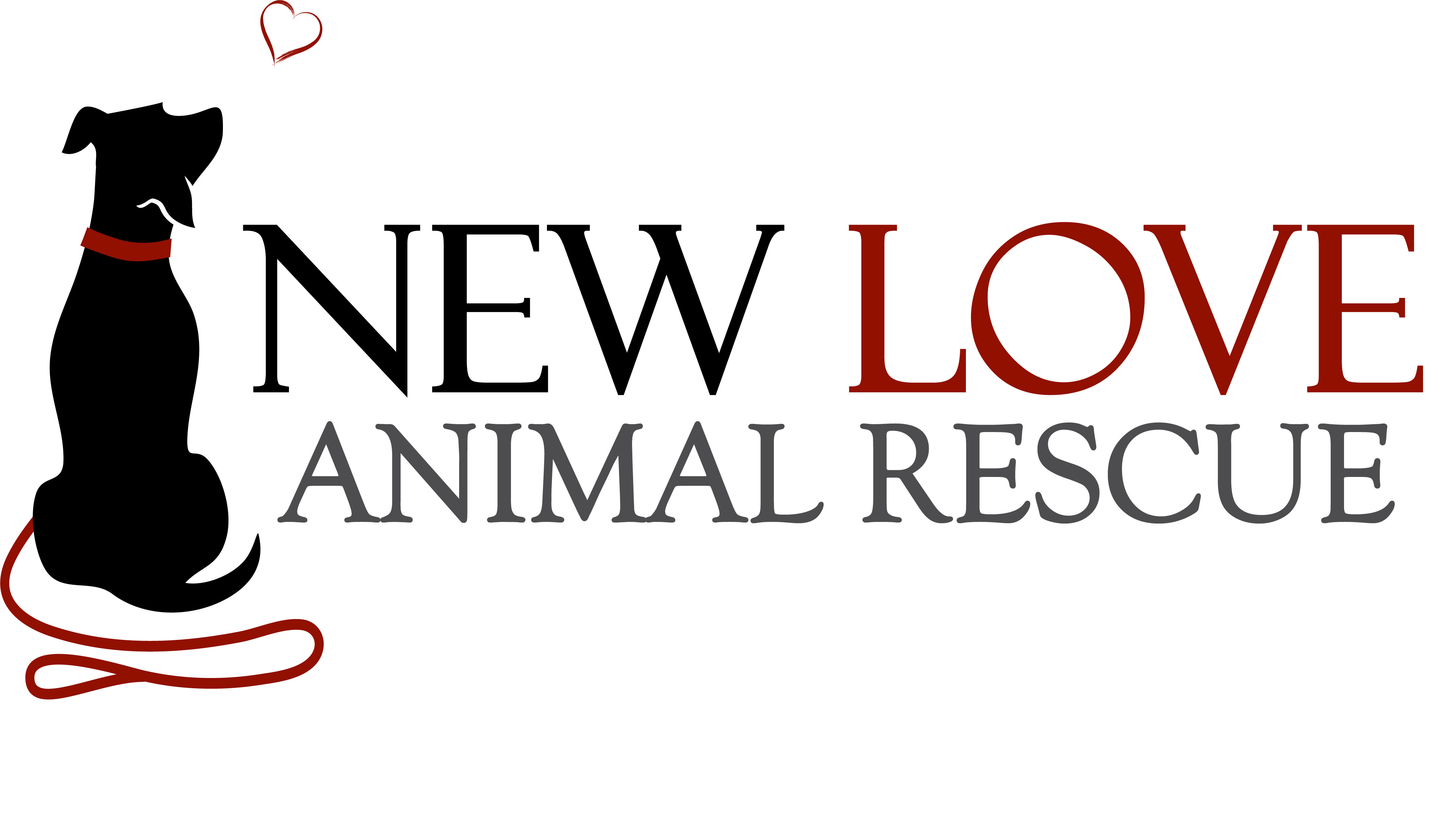 Support Sanctuary Dogs | New Love Animal Rescue (Powered by Donorbox)