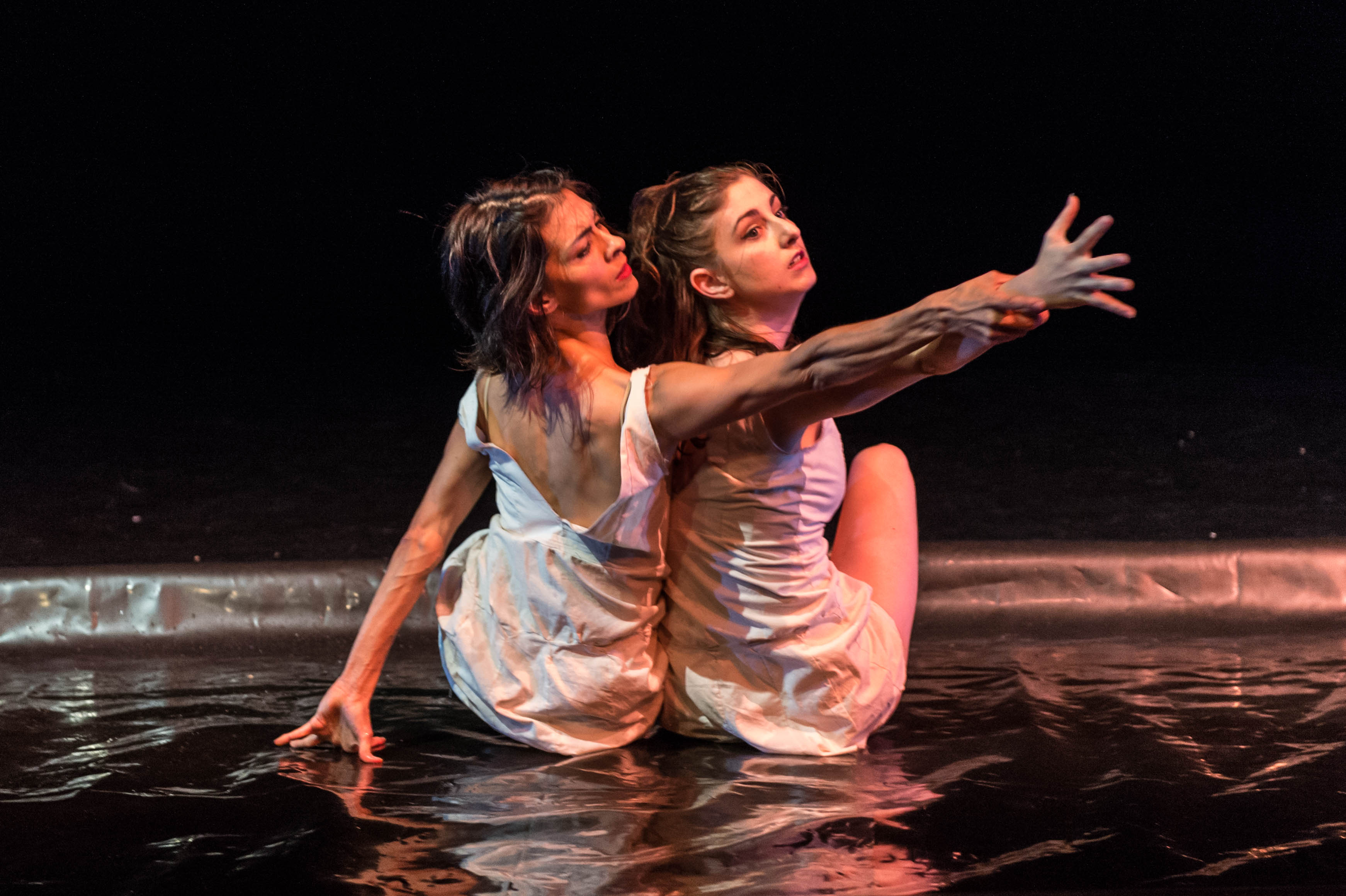 ACB Sustaining Movers! | AROVA Contemporary Ballet (Powered by Donorbox)