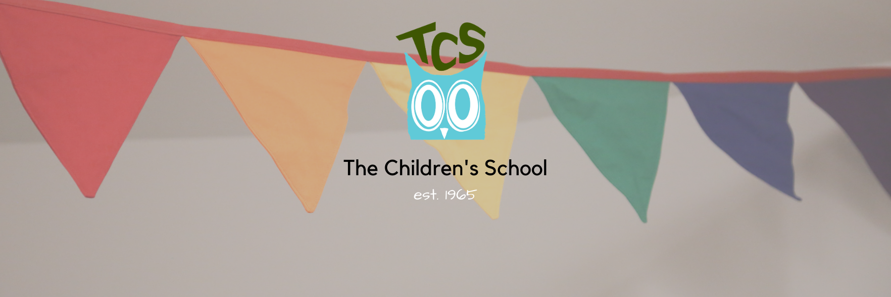 2020 Support TCS in Covid | The Children's School (Powered by Donorbox)