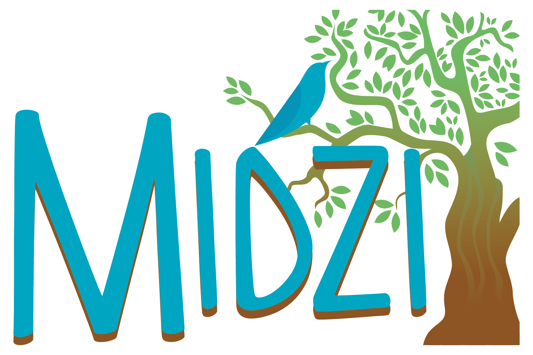 Changing one classroom at a time | Midzi Corporation (Powered by Donorbox)
