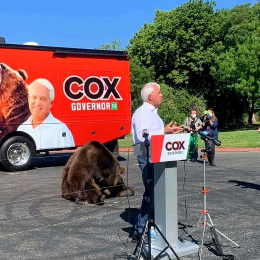 Stop Candidate From Using Bear As Political Publicity Stunt | Animal ...