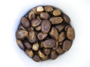 Oksusu Cha (Corn Tea) Tea by Puripan — Steepster