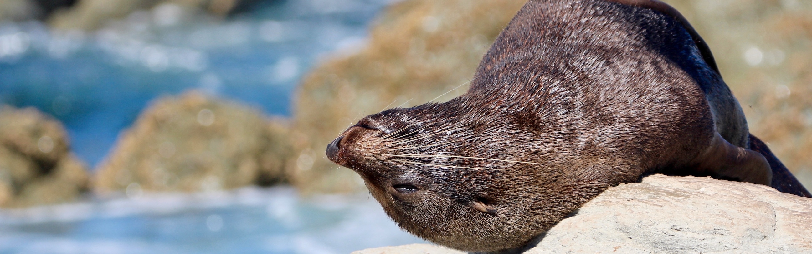 Centre for Aquatic Research | Centre for Aquatic Research (Powered by ...