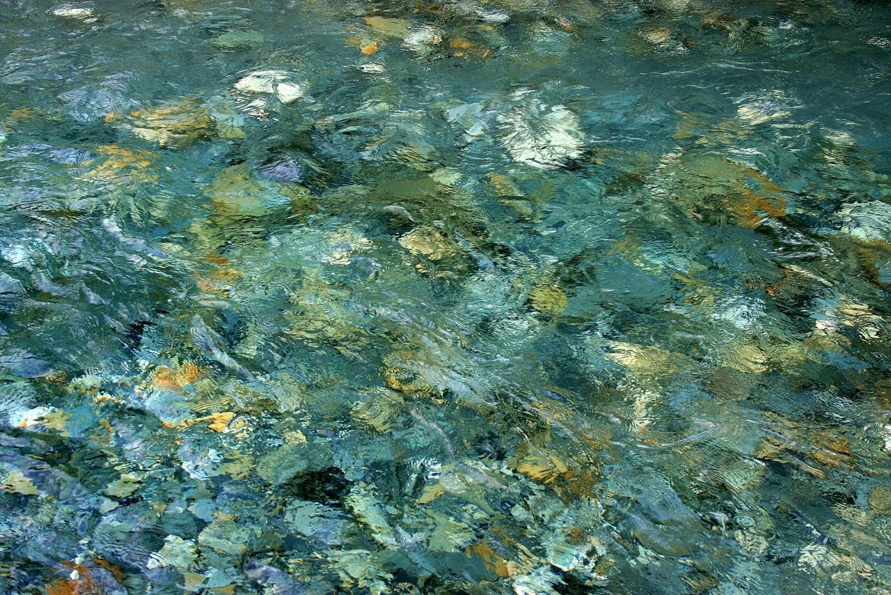 Join us as a Friend of Water Witness International | Water Witness ...