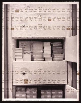 Biogenetics Lab Suite Clone Library with DNA re:Search DNA/RNA ...