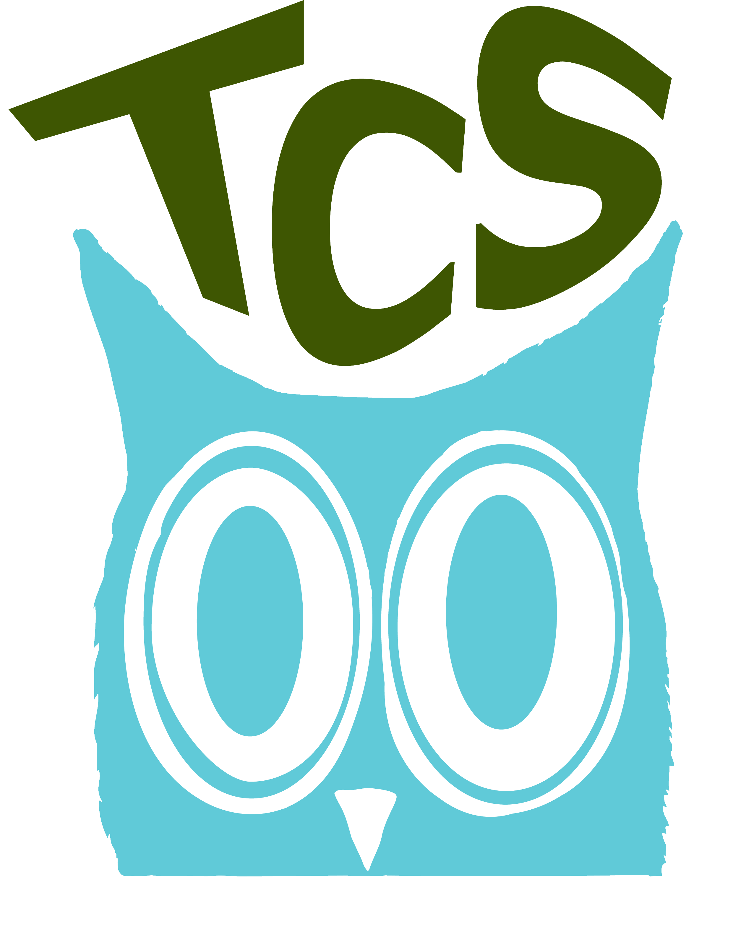 2020 Support TCS in Covid | The Children's School (Powered by Donorbox)