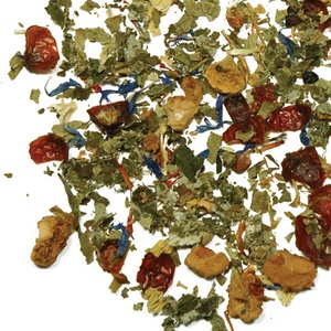 Fit Active Tea by Teaopia — Steepster