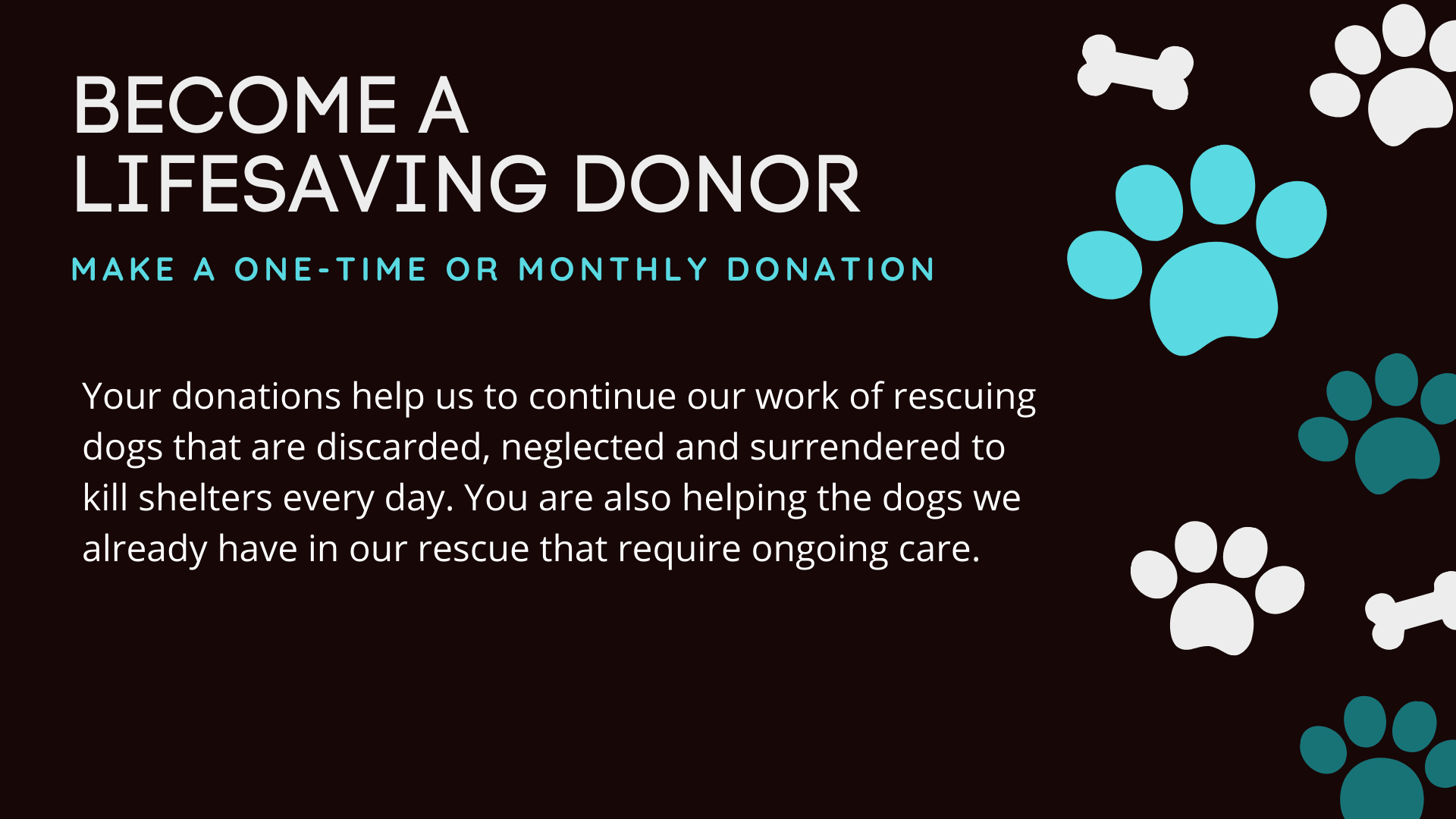 Support 716 Paws | 716 Promoting Animal Welfare & Safety (Powered by ...