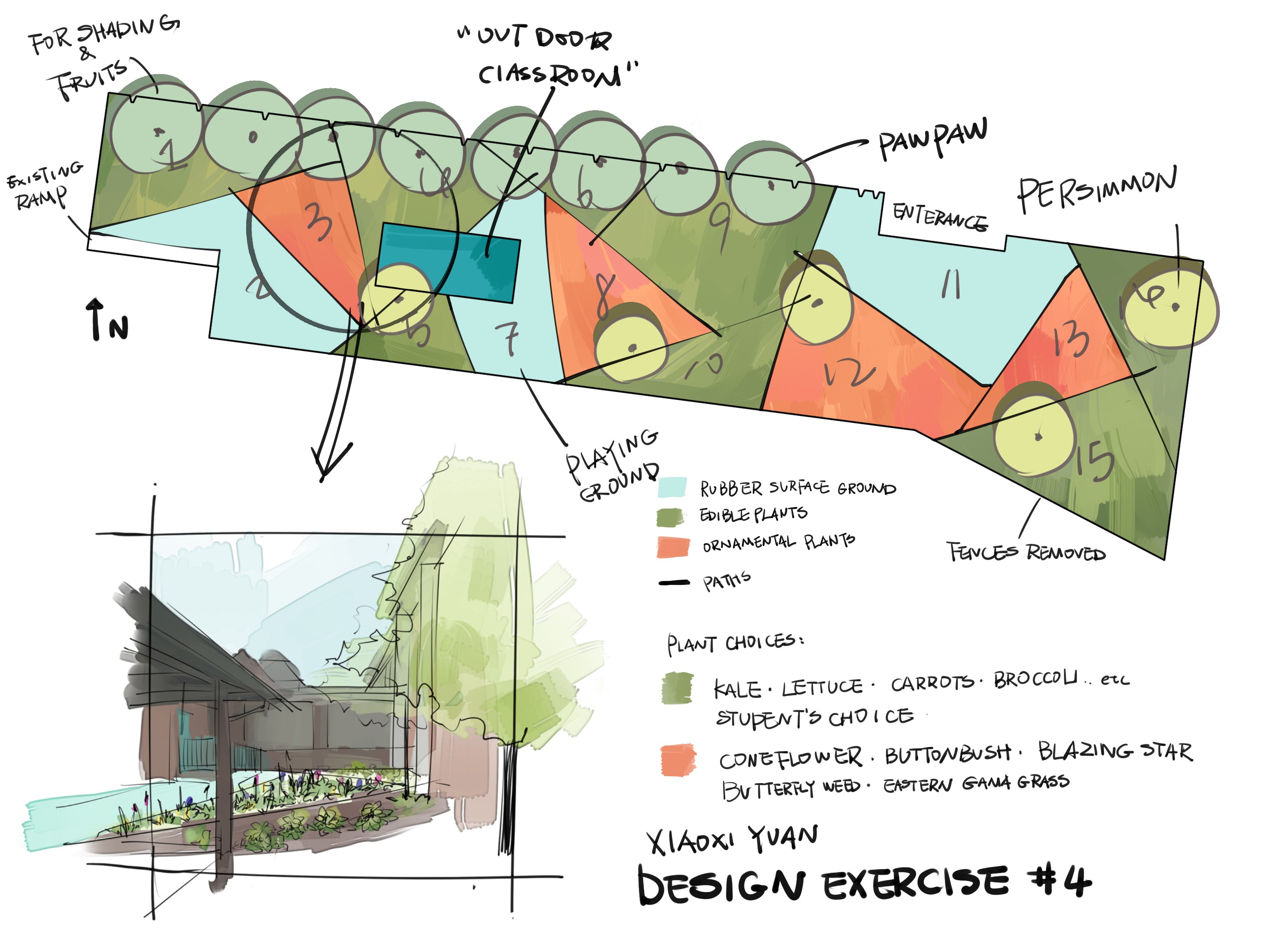 Planting Design - Sam Fox School of Design & Visual Arts — Washington ...