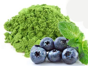 Blueberry Matcha Tea by Matcha Outlet — Steepster