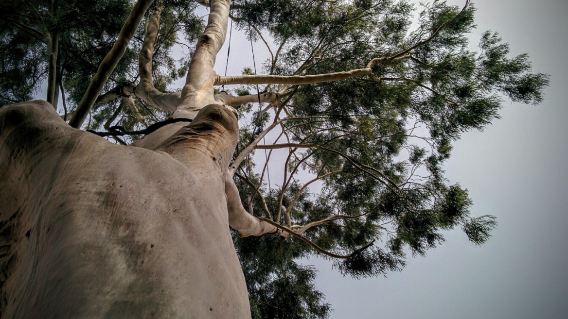 Jam for freedom tour 2022 | Jam for freedom australia (Powered by Donorbox)