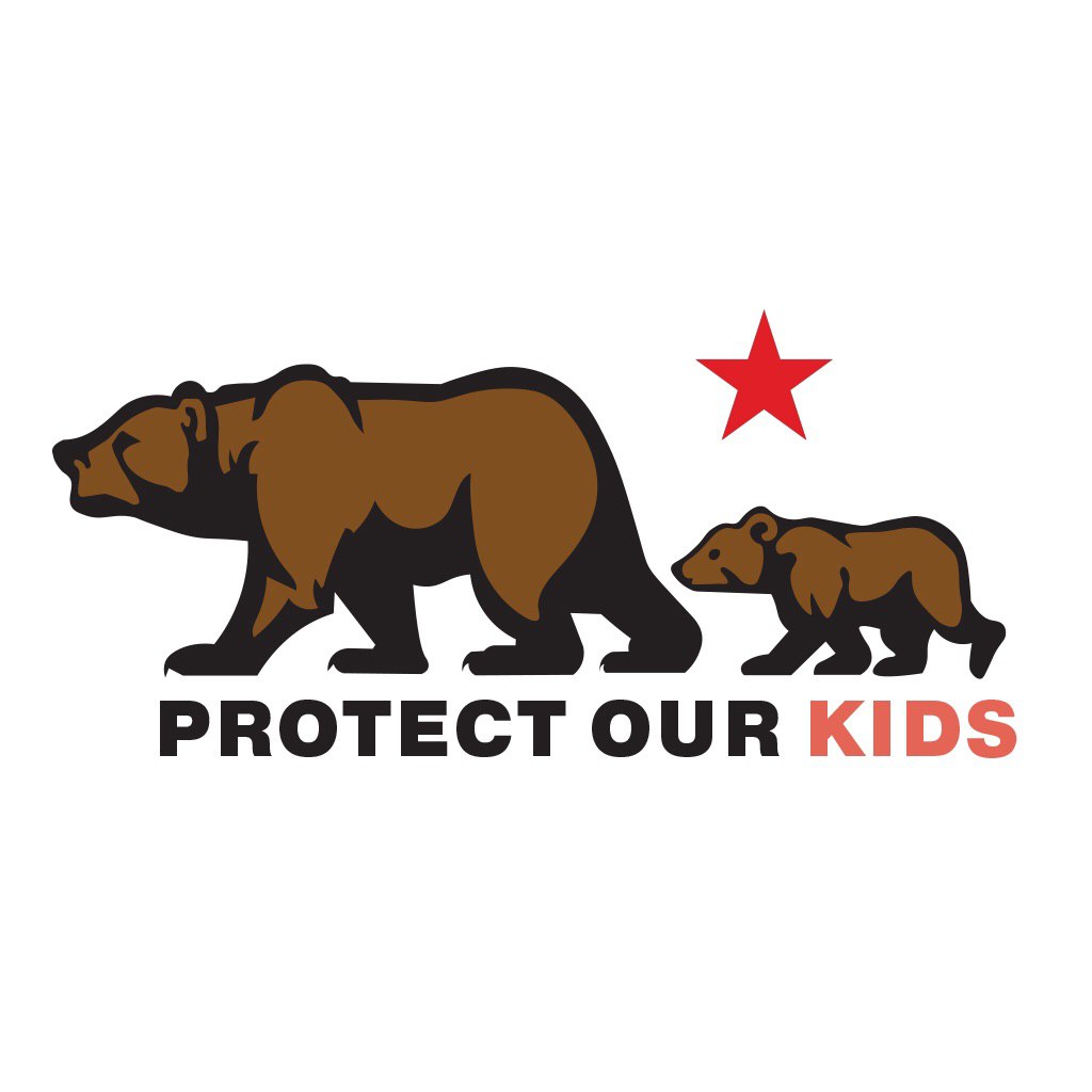 Protect Our Kids | Protect Our Kids (Powered by Donorbox)