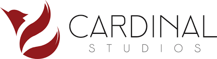 STRIVE Campaign | Cardinal Studios (Powered by Donorbox)